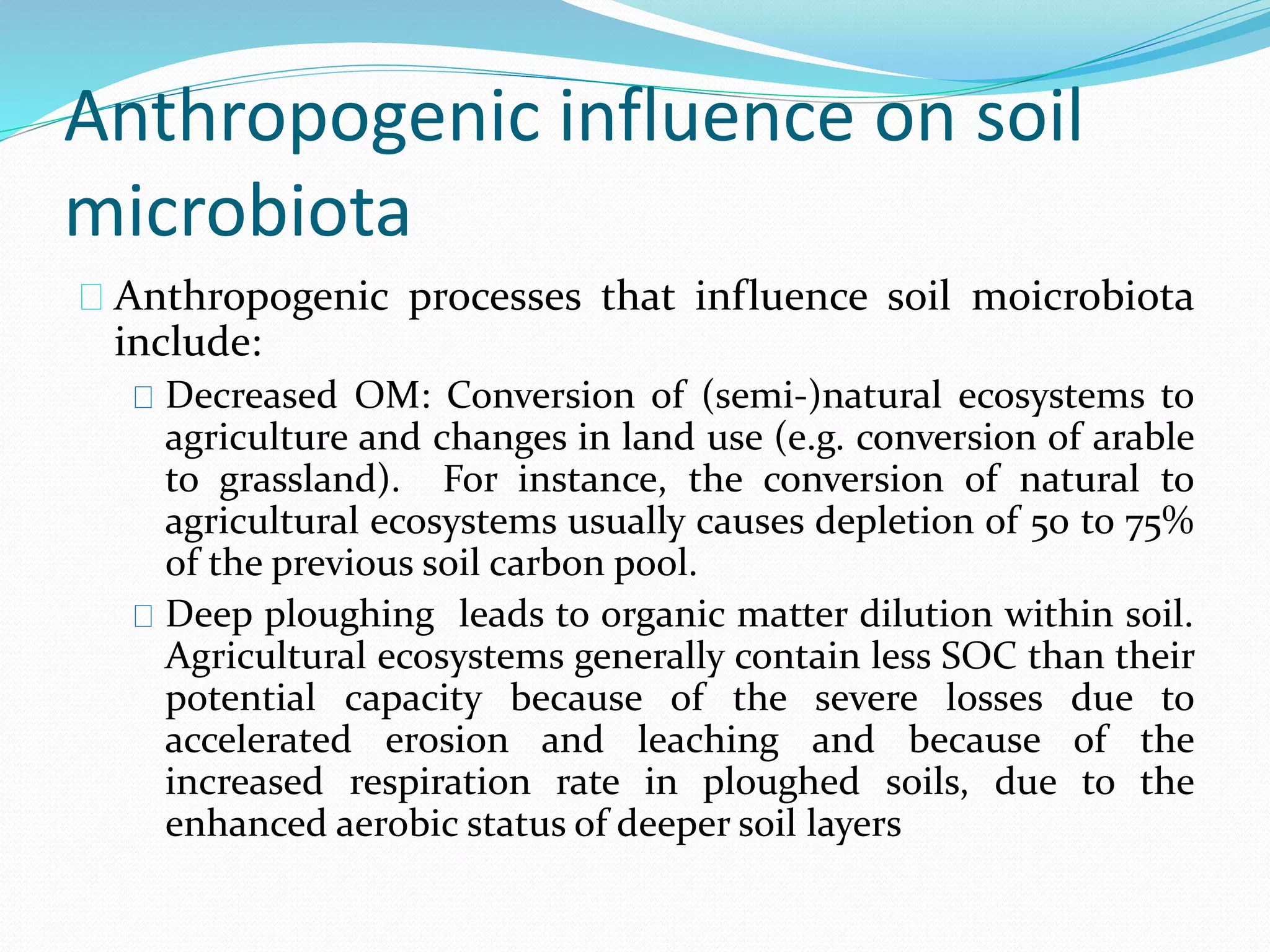 Soil microbiology | PPTX