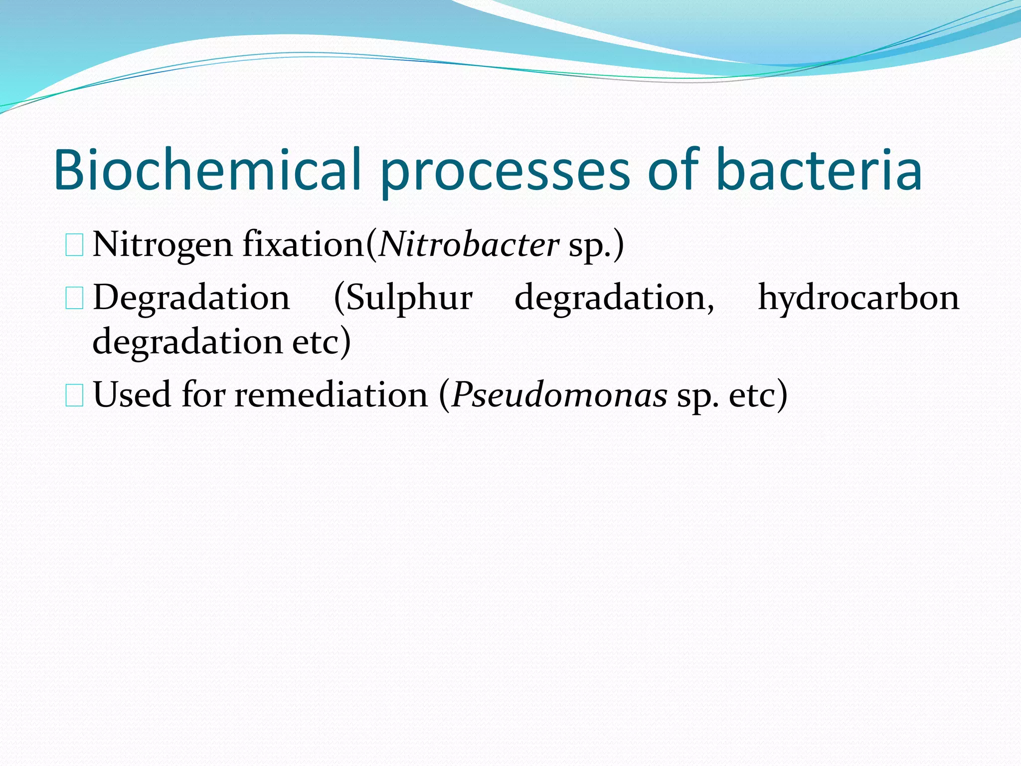 Soil microbiology | PPTX