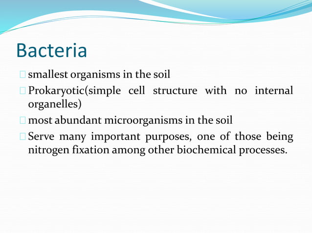 Soil microbiology | PPTX