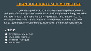 Soil and environmental microbiology .ppt