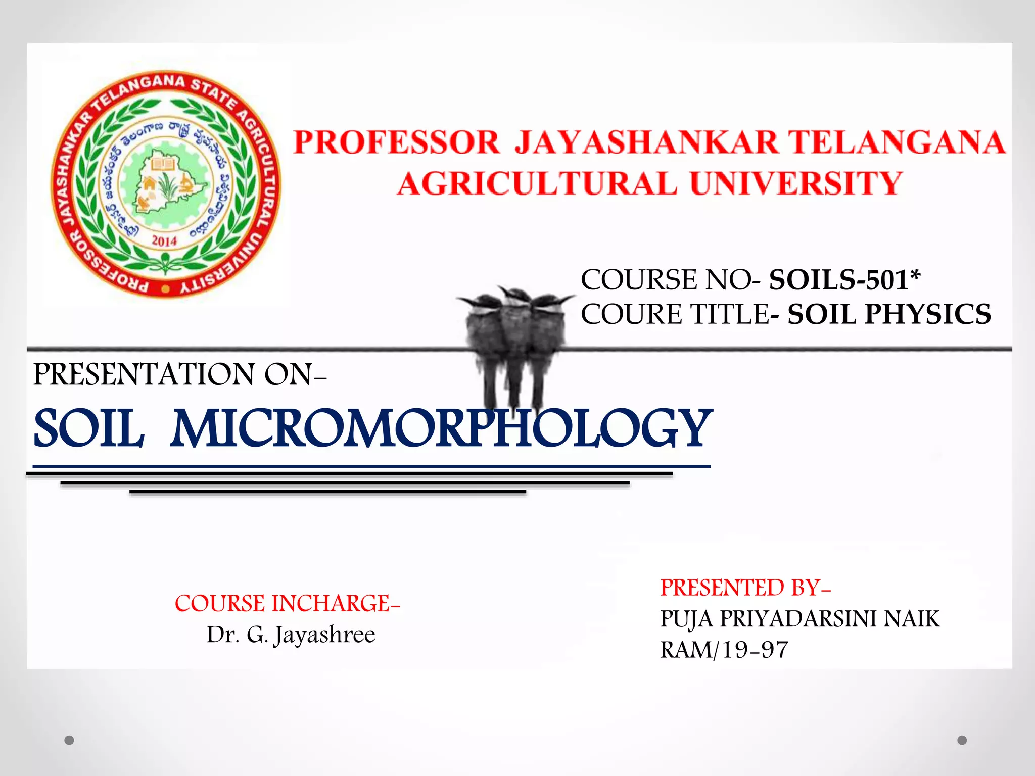 Soil micromorphology | PPTX