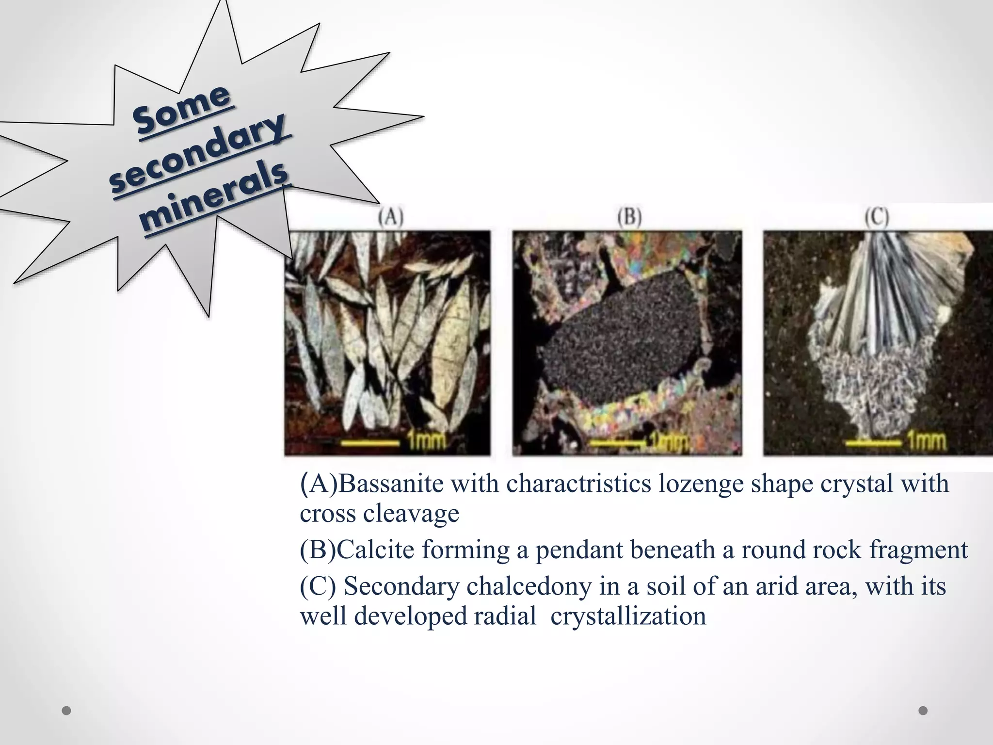 Soil micromorphology | PPTX