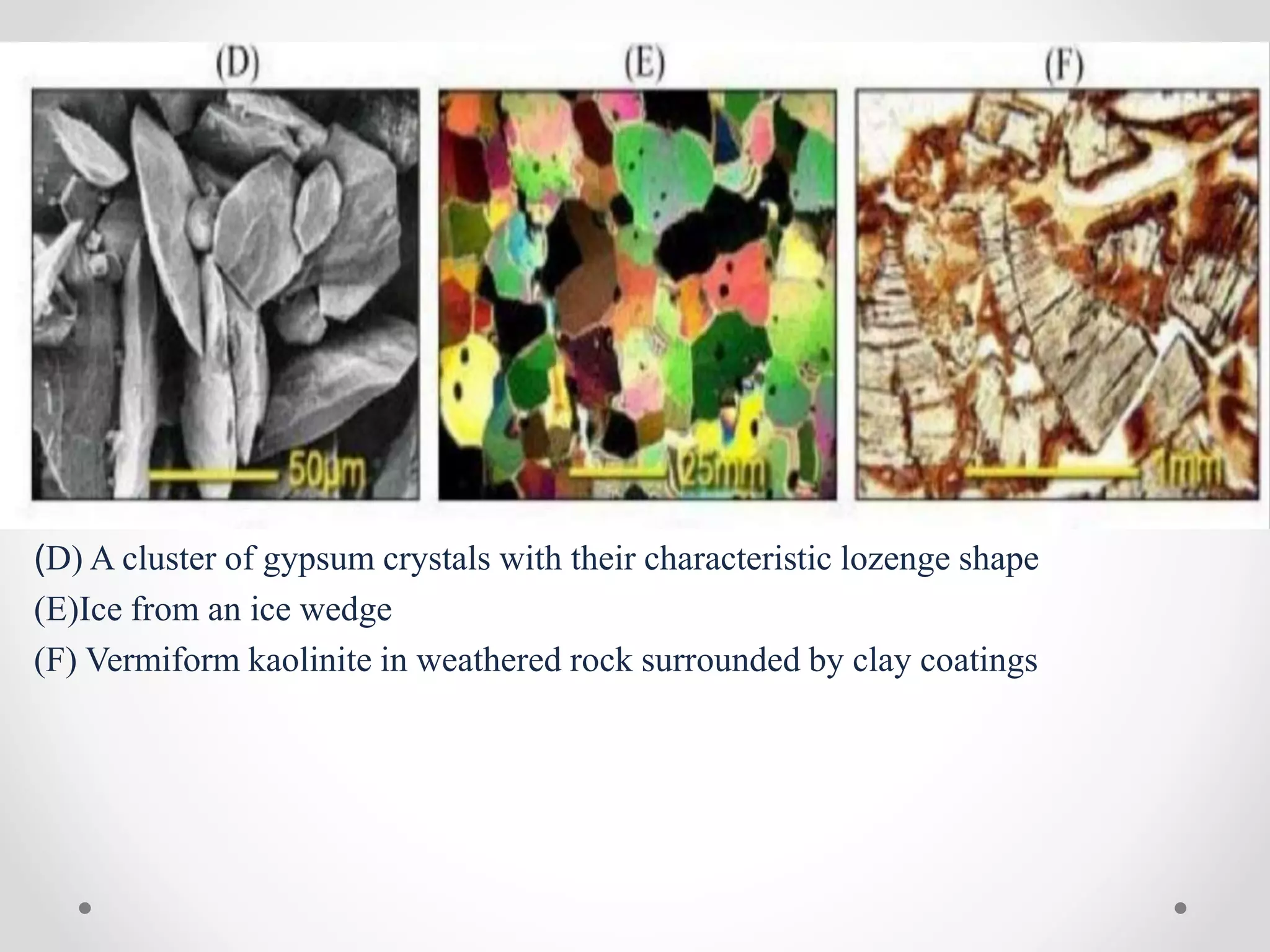 Soil micromorphology | PPTX