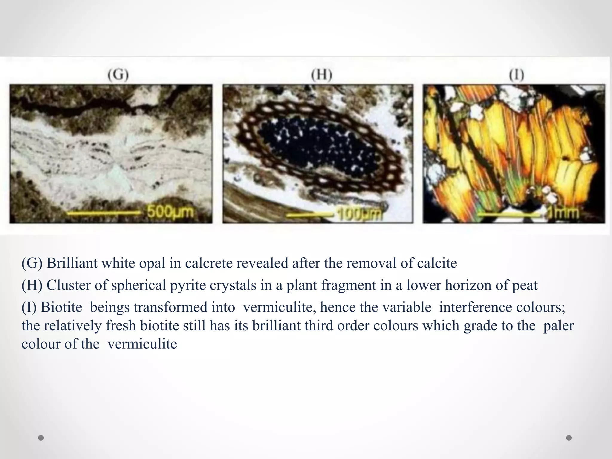 Soil micromorphology | PPTX
