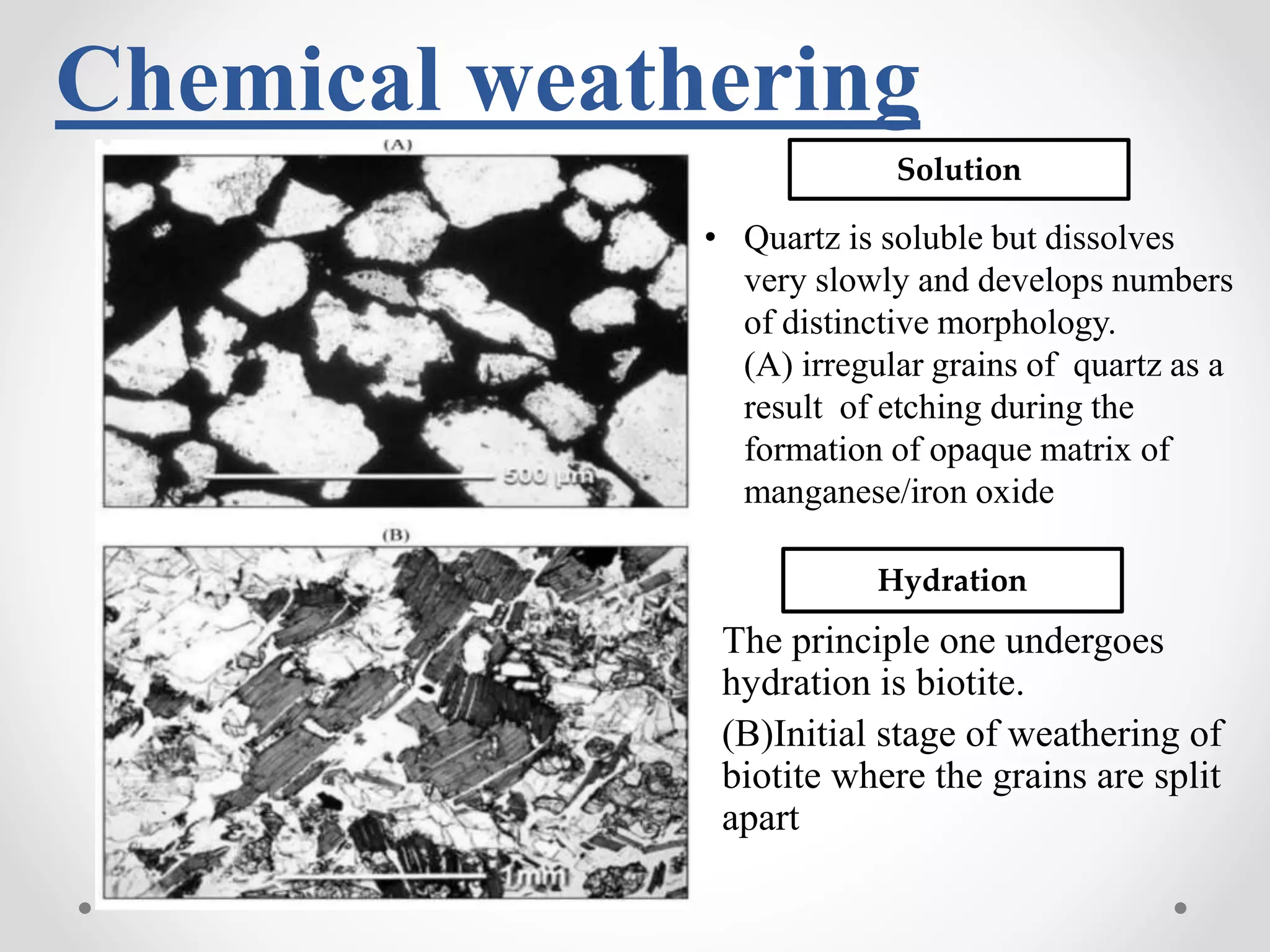 Soil micromorphology | PPTX