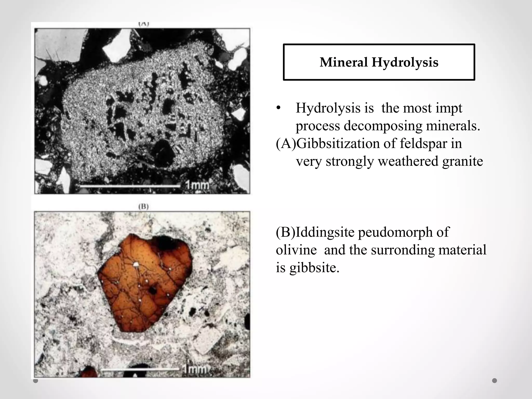 Soil micromorphology | PPTX