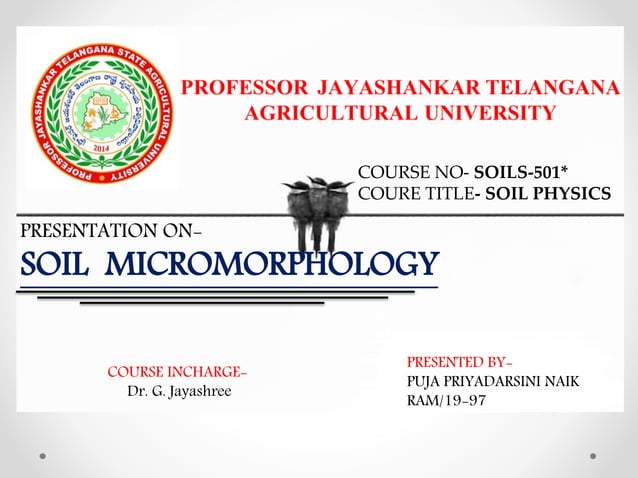 Soil micromorphology | PPTX