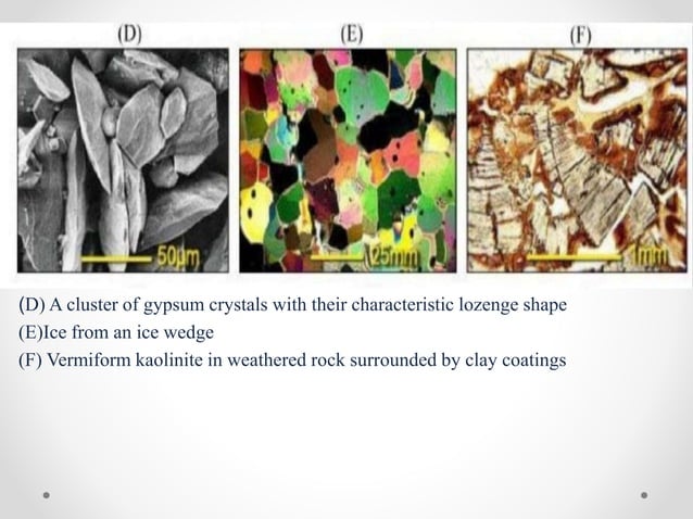 Soil micromorphology | PPTX