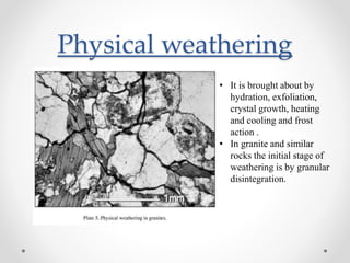 Soil micromorphology | PPTX