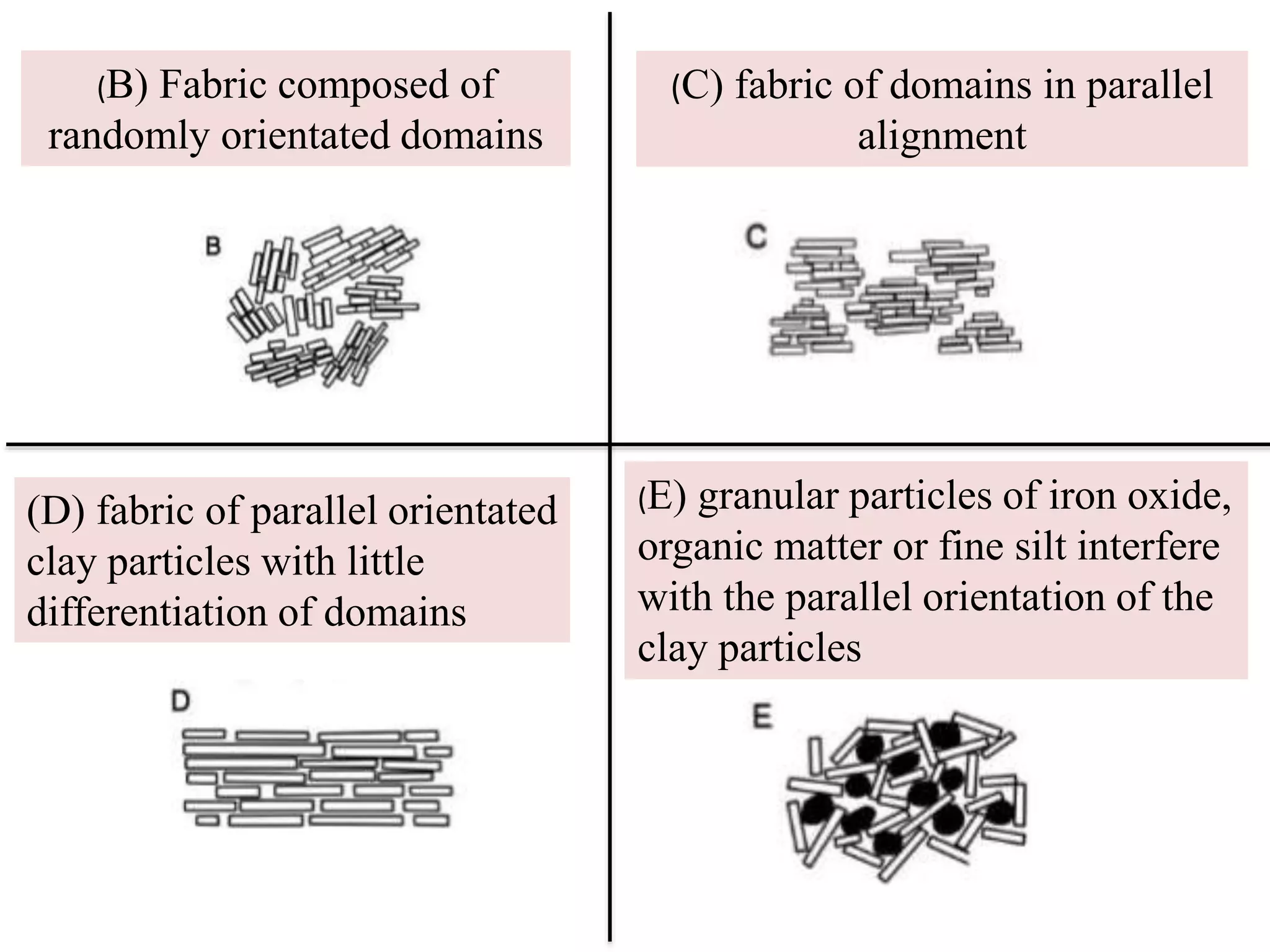 Soil micromorphology | PPTX