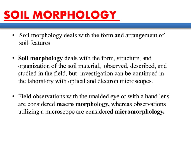 Soil micromorphology | PPTX | Science