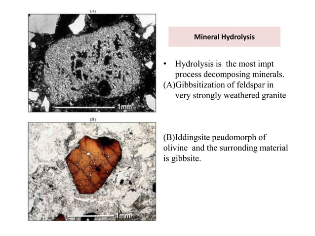Soil micromorphology | PPTX | Science