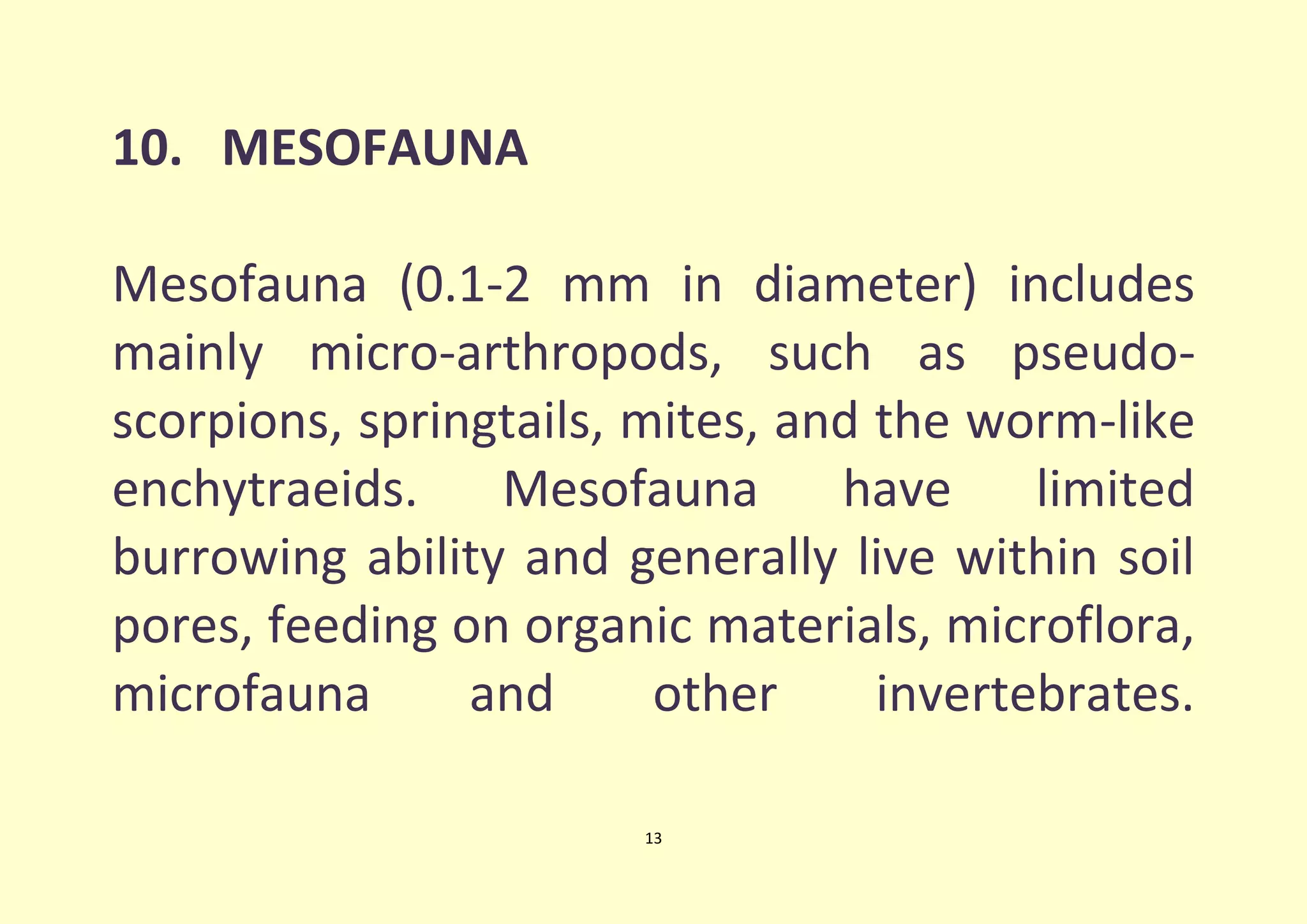 Soil microorganisms | PDF