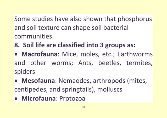 Soil microorganisms | PDF