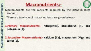 Macro nutrients subject soil and soil fertility bsc Ag hons. | PPT