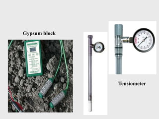 Soil moisture | PPTX