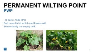 Soil Moisture 101: Need-to-know Basics | PPTX