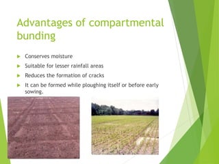 Soil moisture conservation techniques | PPTX