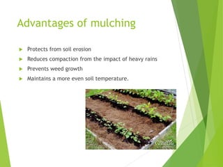 Soil moisture conservation techniques | PPTX