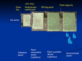 Soil moisture Constants & Classification-Agron 101 (1).pptx