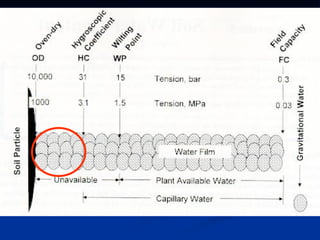 Soil moisture Constants & Classification-Agron 101 (1).pptx