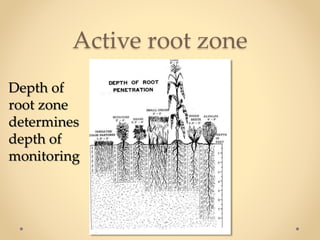 Soil Moisture Monitoring | PPTX