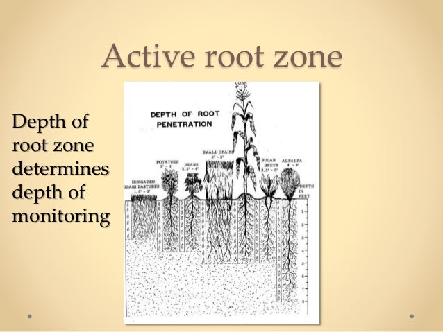Soil Moisture Monitoring