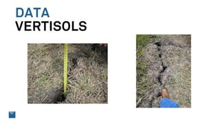 Soil Moisture Sensor Installation | PPT