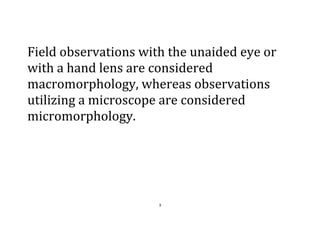 Soil morphology | PDF