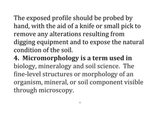 Soil morphology | PDF