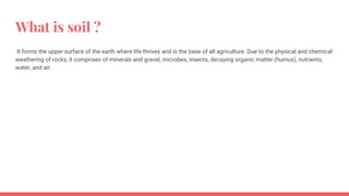 Soil ( notes) | PPTX