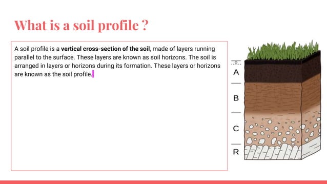Soil ( notes) | PPT