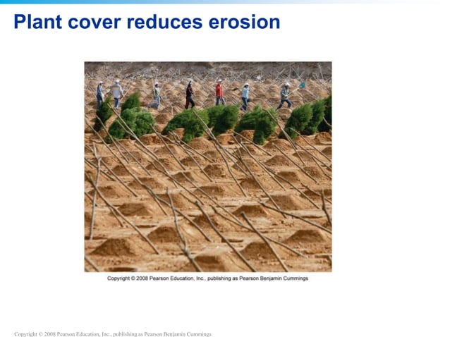 protecting soil from erosion project.ppt