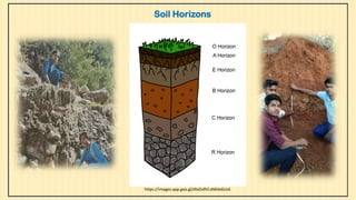 SOIL: Factor, Horizon, Process, Classification, Degradation ...