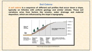 SOIL: Factor, Horizon, Process, Classification, Degradation ...