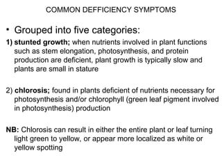Plant-soil nutrient defficiencies and symptoms.ppt