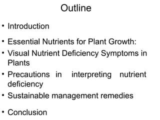 Plant-soil nutrient defficiencies and symptoms.ppt
