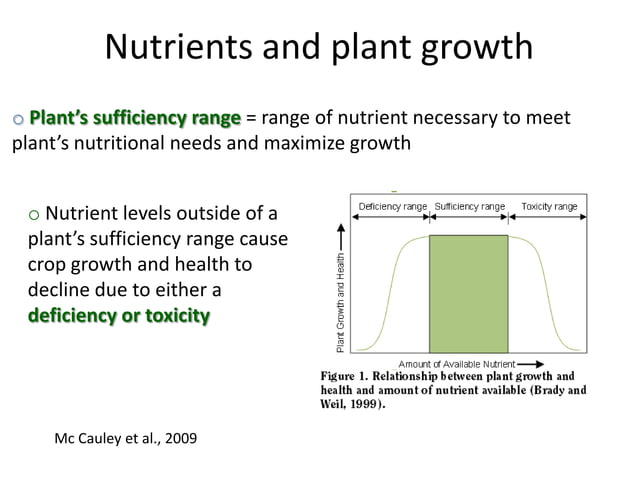 Soil nutrients | PPTX | Nutrition | Healthy Living