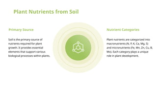 Soil Nutrients for Plant Growth (1).pptx