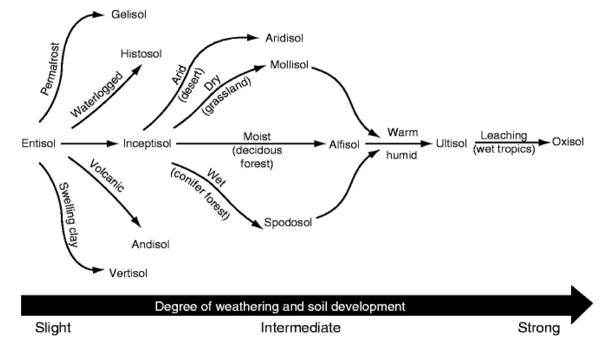 Soil order II AGRI SILVI GURU II SOIL SCIENCE II STEPS BY STEP GUIDE ...