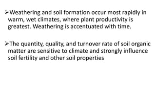 Soil order II AGRI SILVI GURU II SOIL SCIENCE II STEPS BY STEP GUIDE | PPTX