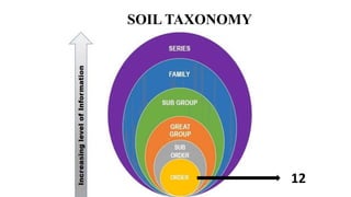Soil order II AGRI SILVI GURU II SOIL SCIENCE II STEPS BY STEP GUIDE | PPTX