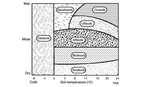 Soil order II AGRI SILVI GURU II SOIL SCIENCE II STEPS BY STEP GUIDE ...