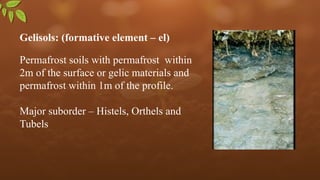 Different soil order in the environment. | PPTX
