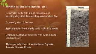 Different soil order in the environment. | PPTX