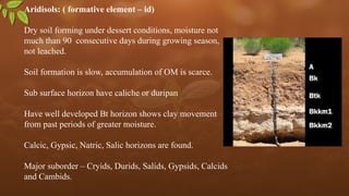 Different soil order in the environment. | PPTX