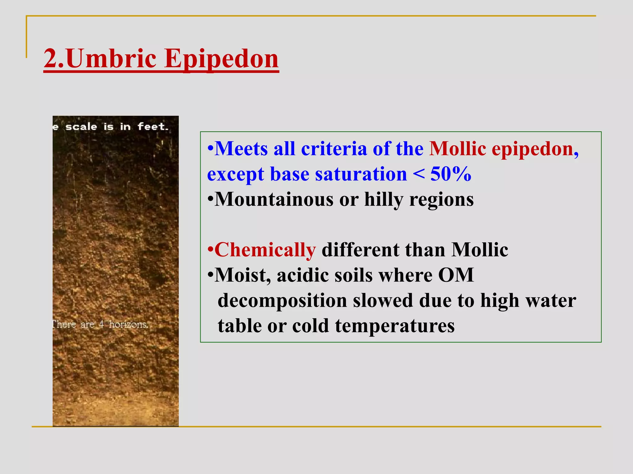 soil orders.ppt