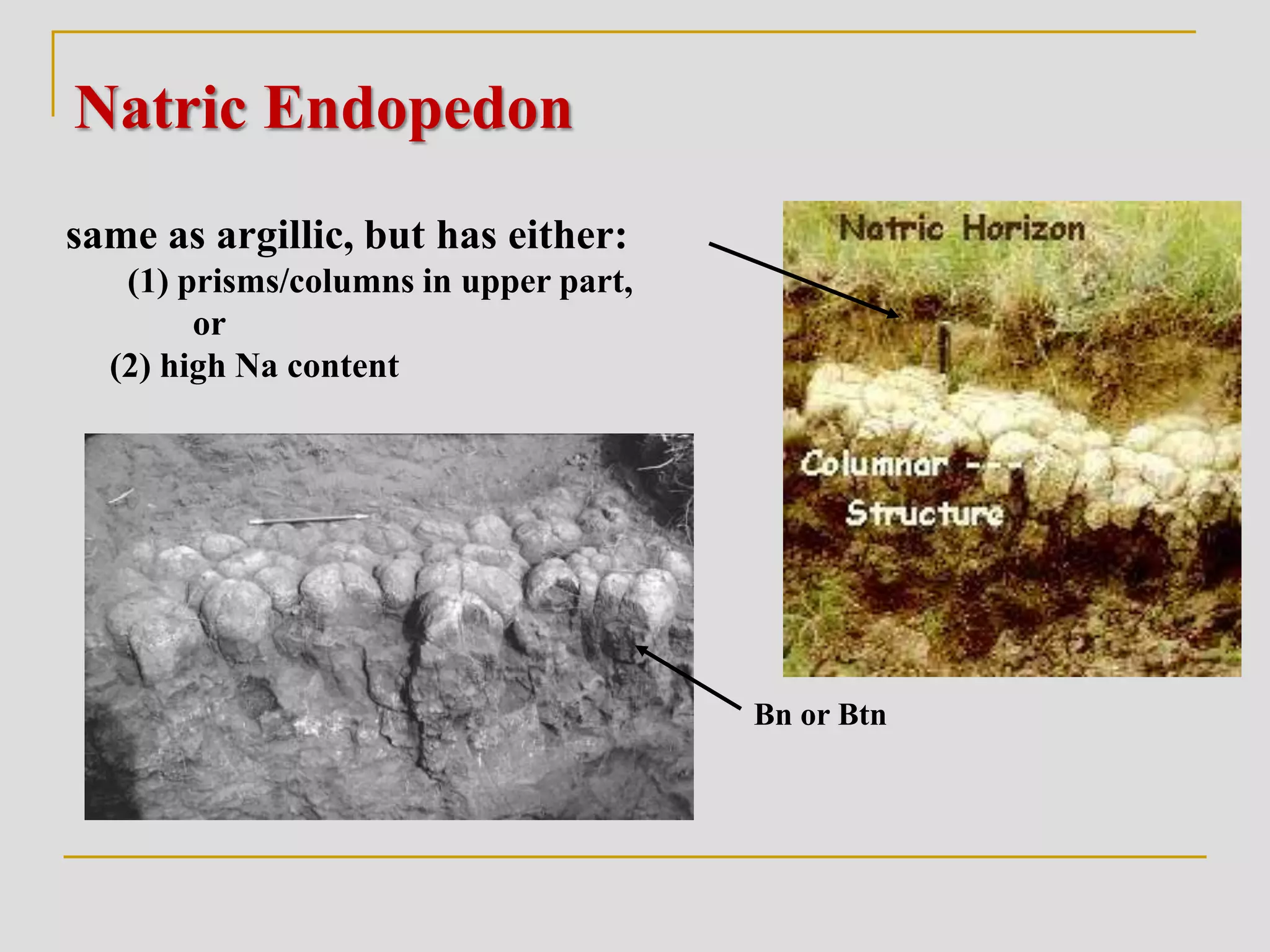 soil orders.ppt