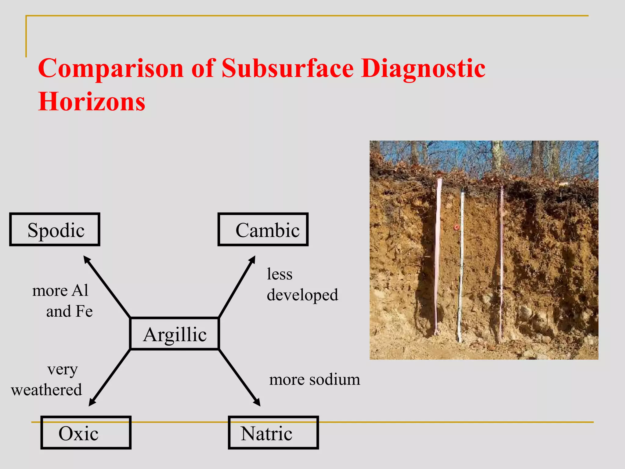 soil orders.ppt