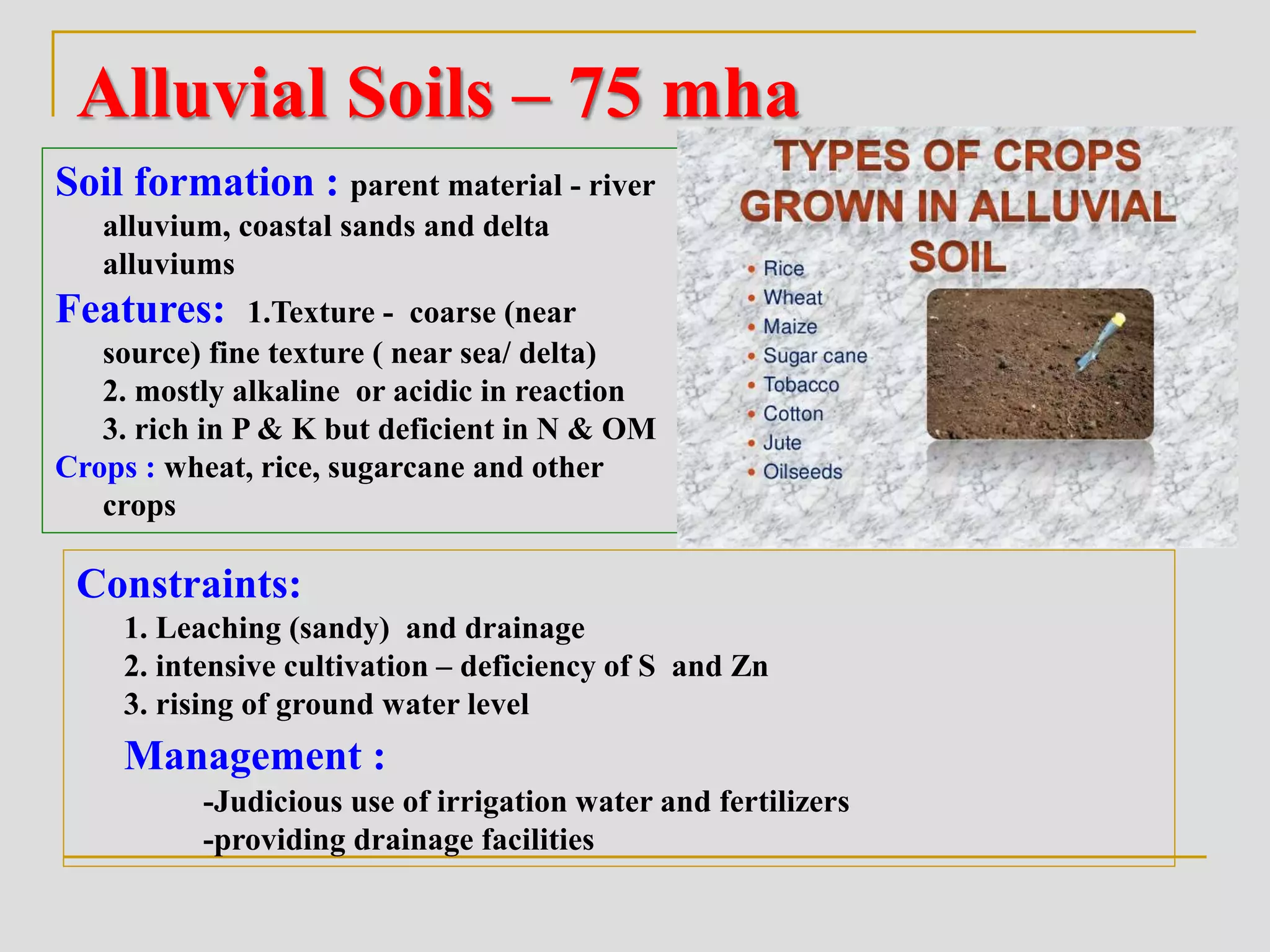 soil orders.ppt